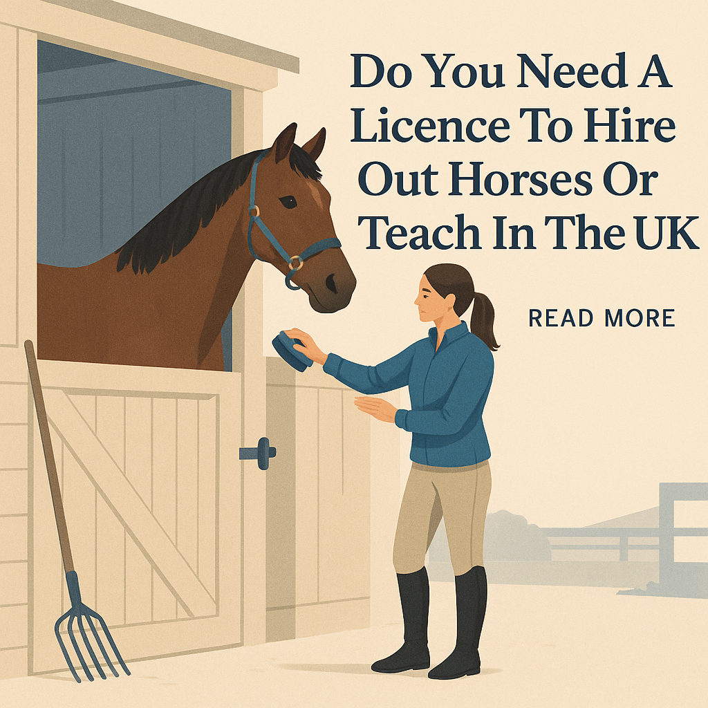 Do You Need A Licence To Hire Out Horses Or Teach In The UK? – Just ...