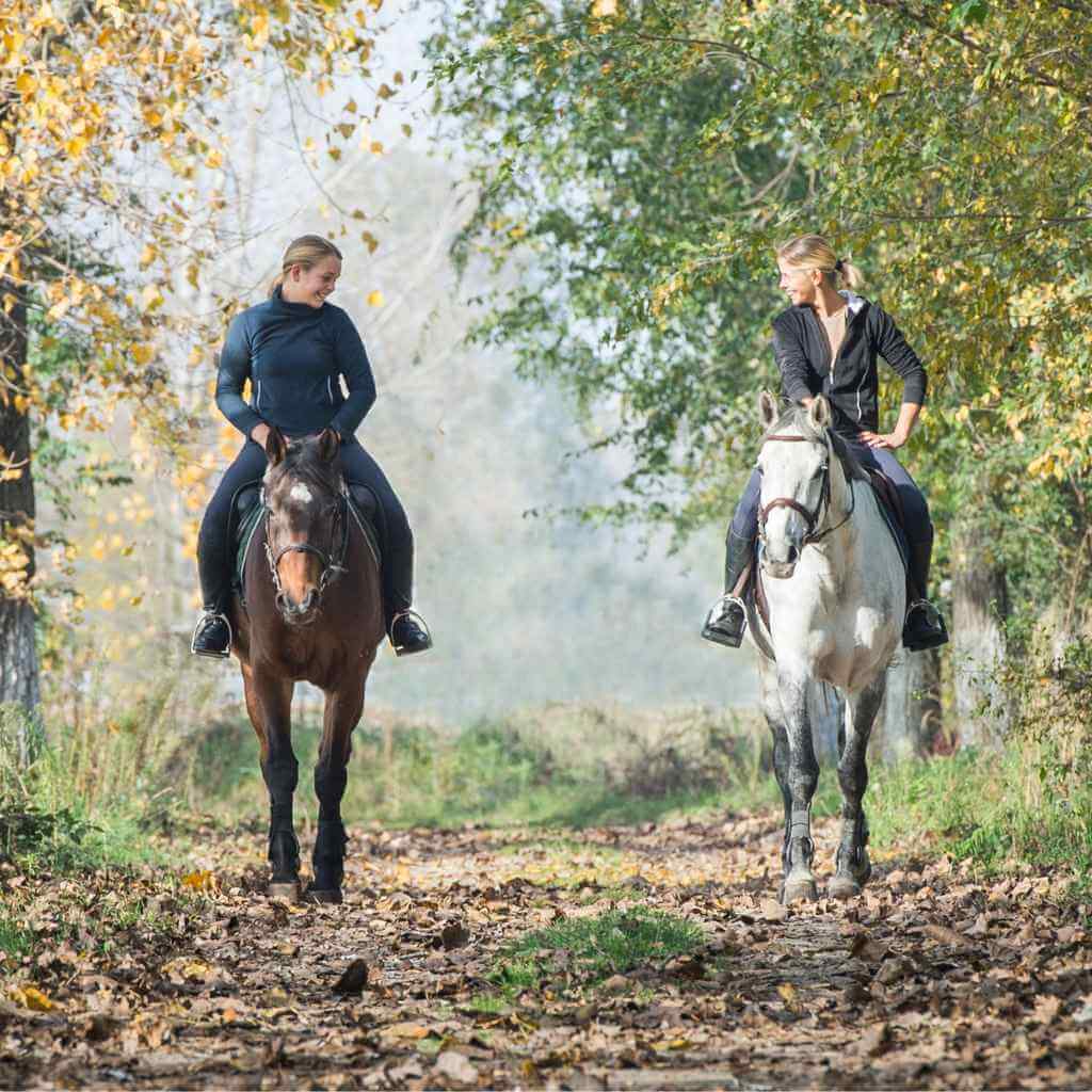 The Top 10 Horse Riding Destinations in the UK | Just Horse Riders