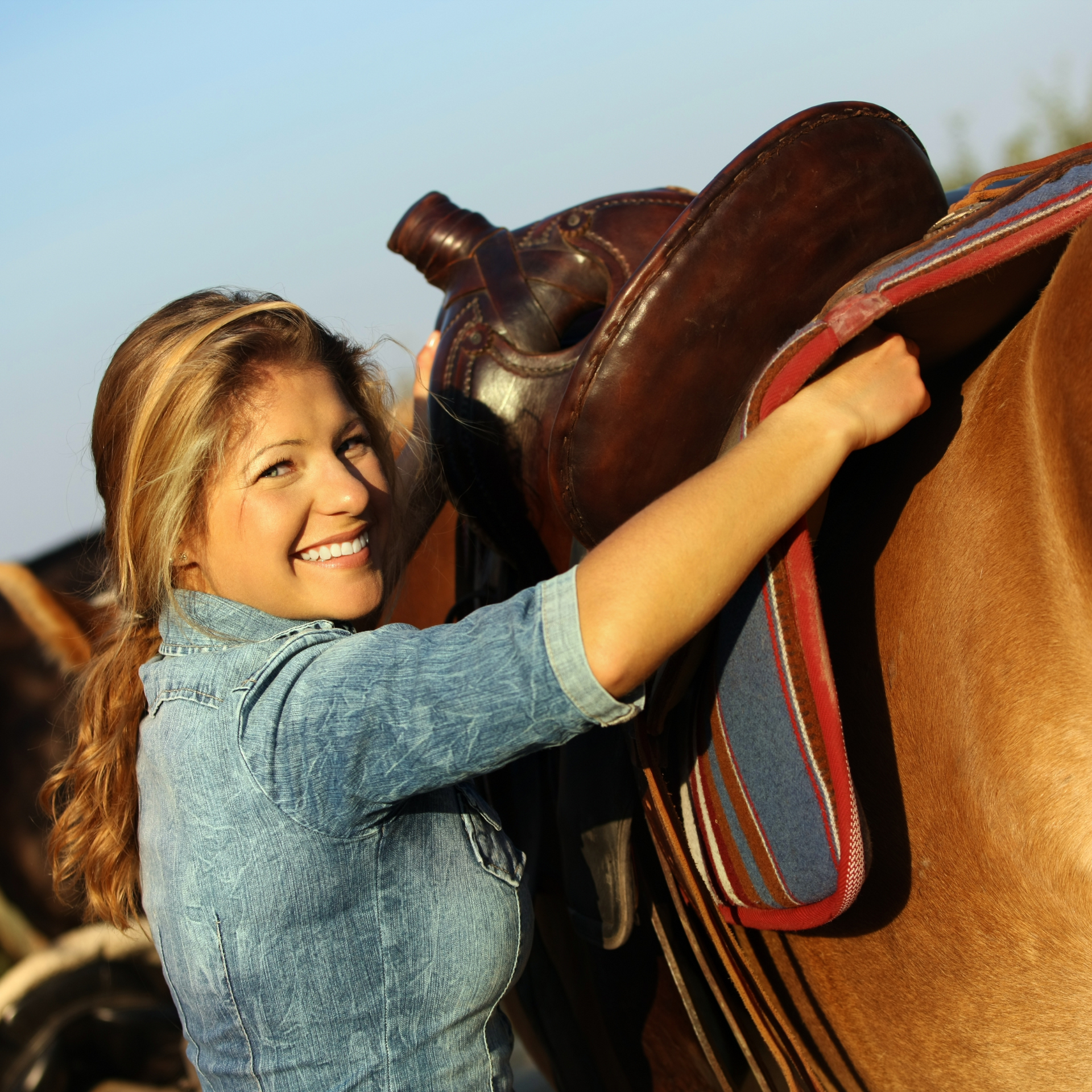 Saddle Up: Your Comprehensive Guide to Choosing the Perfect Saddle for ...
