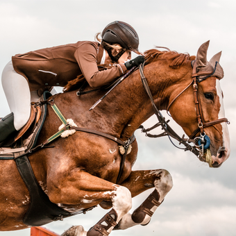 Legends of the Saddle: The 10 Greatest Horse Riders and Equestrian Dis ...