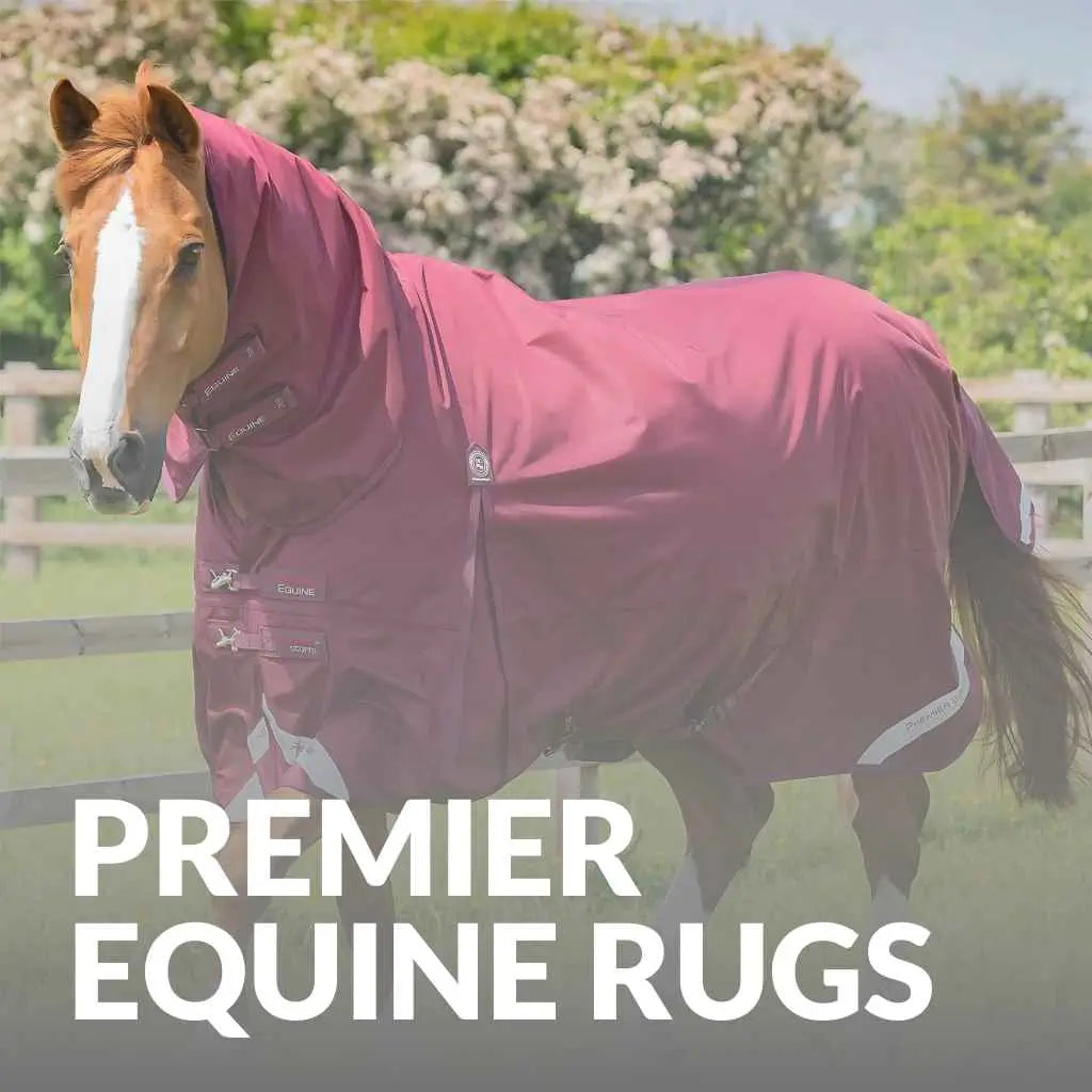 Shop Premier Equine Rugs – Ultimate Comfort for Your Horse – Just Horse ...