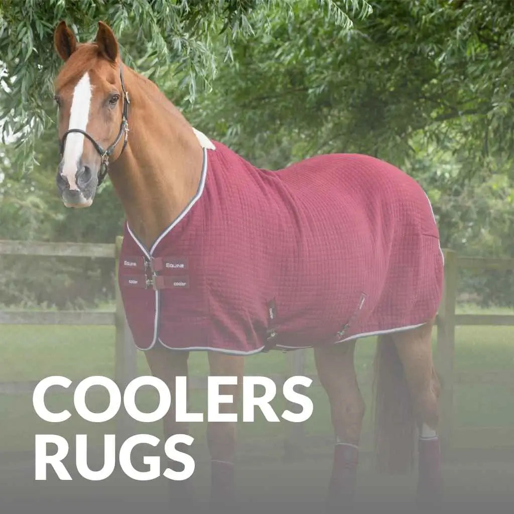 Premier Equine Cooler Rugs – Shop Now For Ultimate Comfort – Just Horse ...