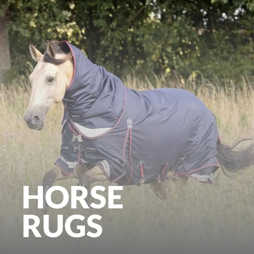 Shop LeMieux Horse Rugs: Comfort & Durability Today – Just Horse Riders