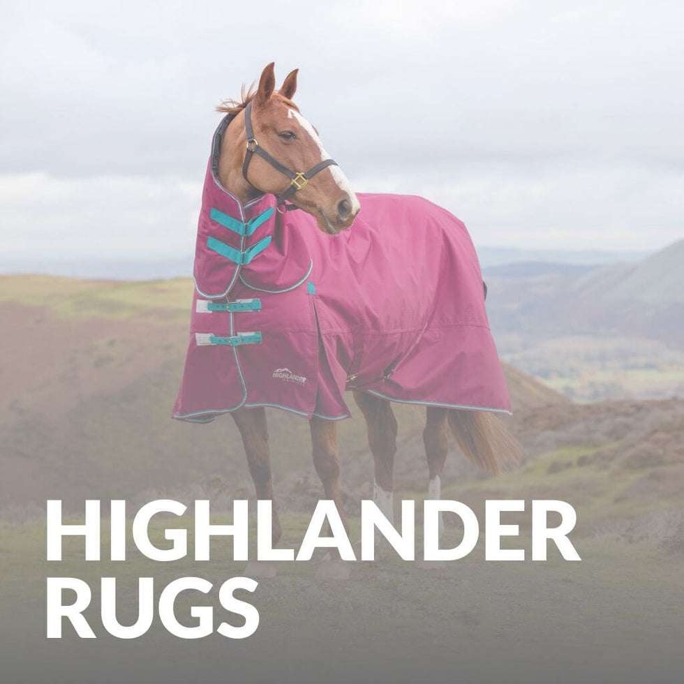 Shop Now | Shires Equestrian: Royal Elegance Awaits! – Just Horse Riders