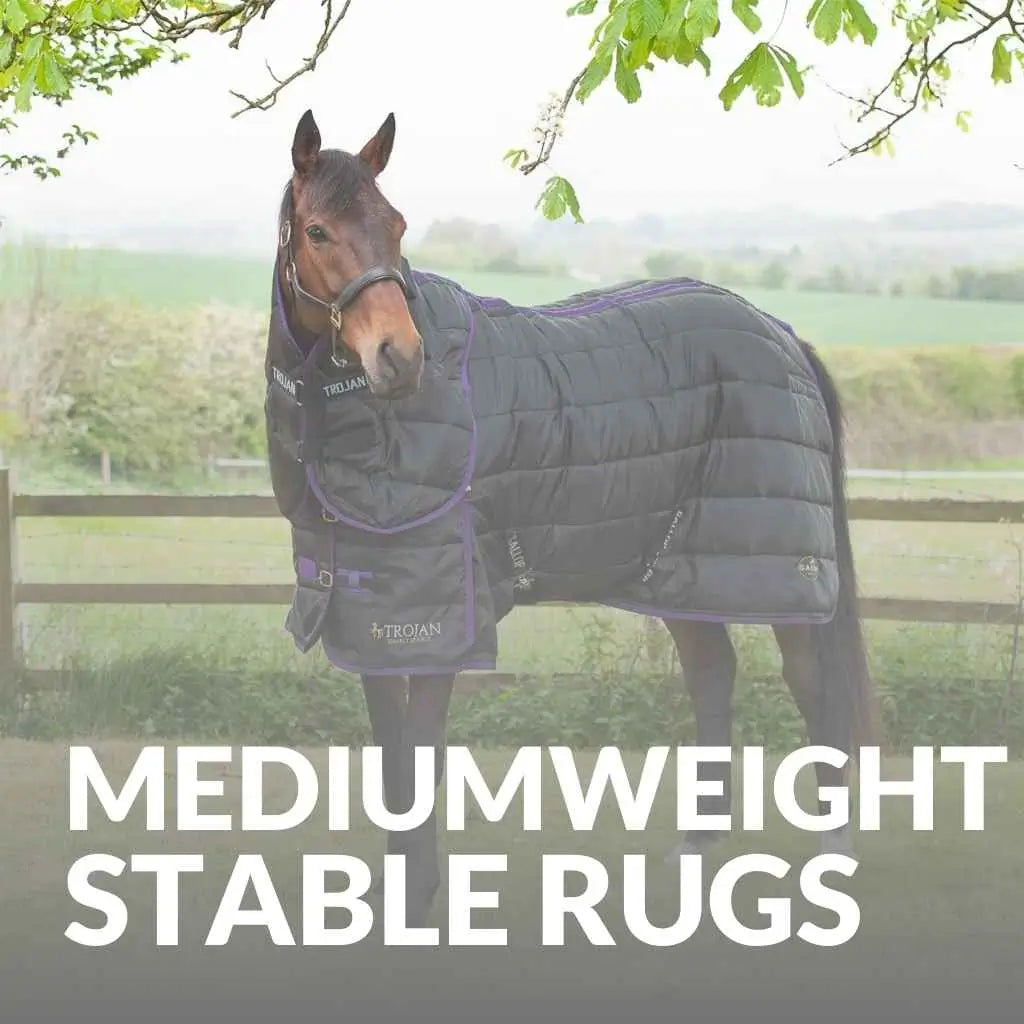 Essential Mediumweight Horse Stable Rugs Collection – Just Horse Riders