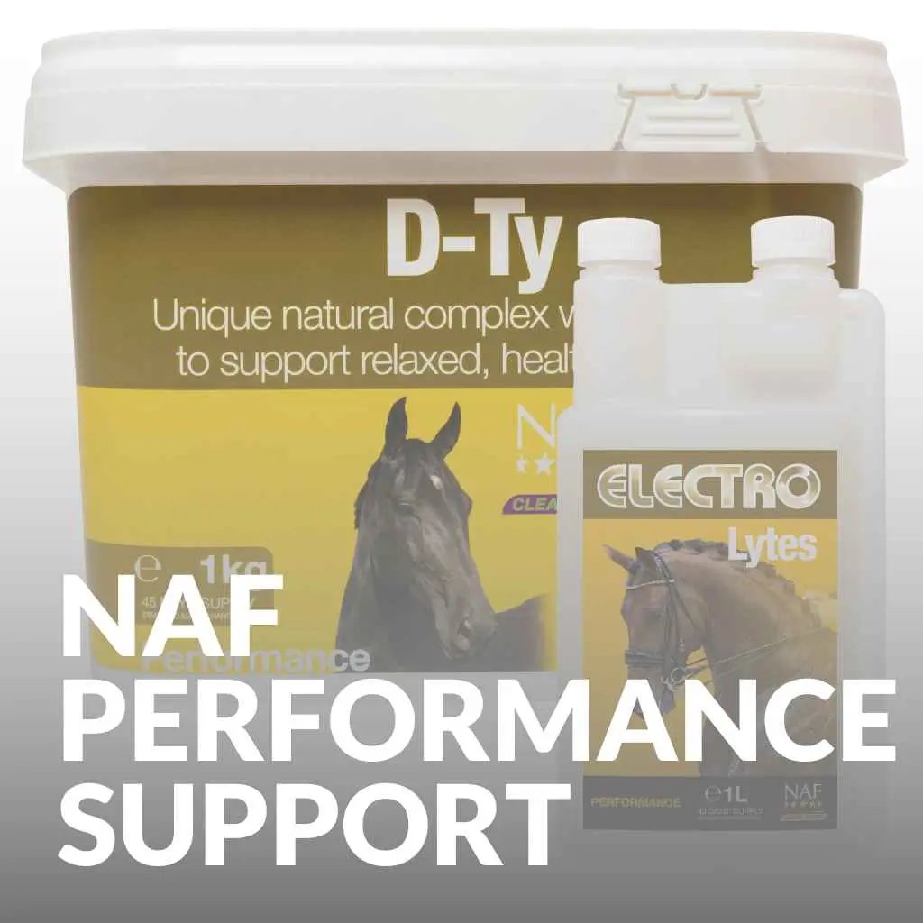 Shop NAF Equestrian Performance Essentials - Buy Now! – Just Horse Riders