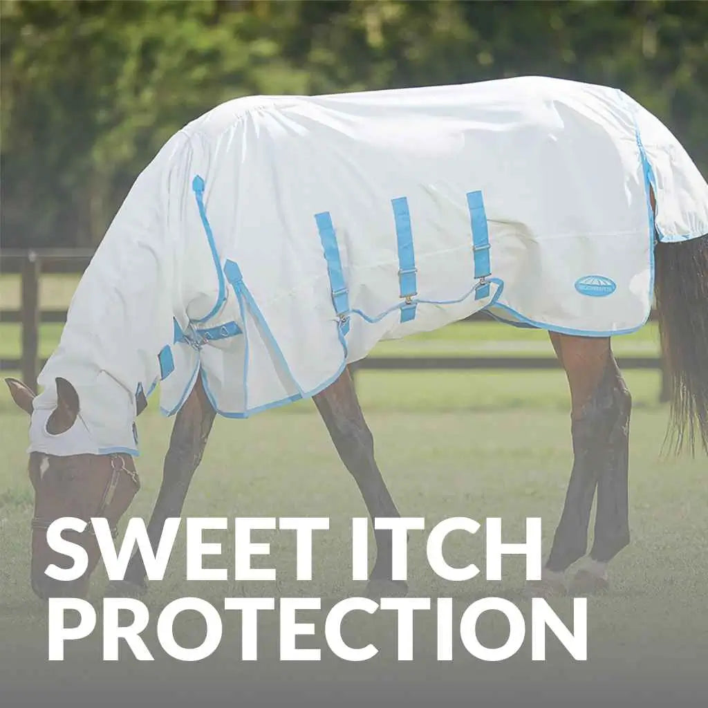 Prevent Sweet Itch with Best Products & Tips - Shop Now – Just Horse Riders