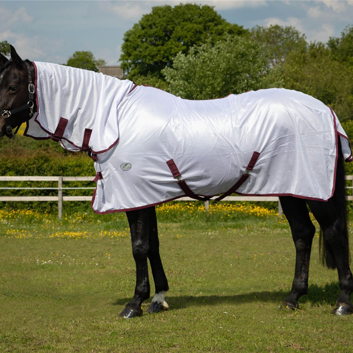 JHL Essential Combo Fly Rug | Next Day Delivery | Adjustable – Just ...