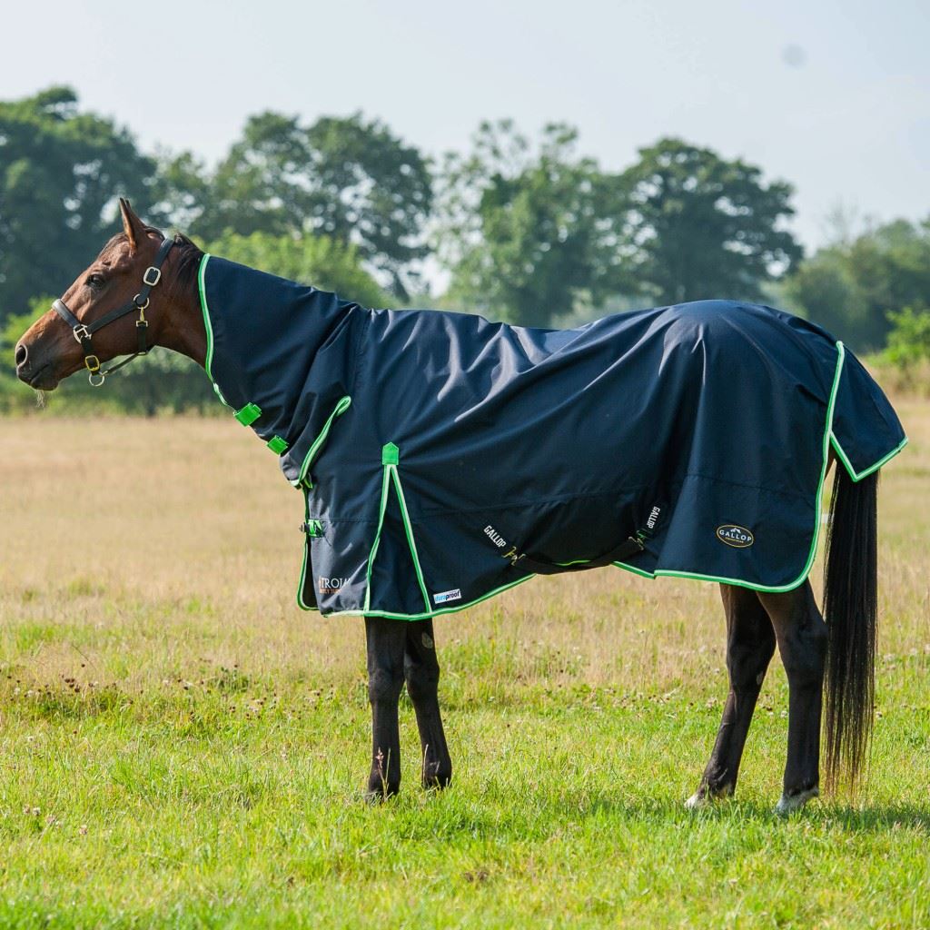 Gallop Equestrian Trojan Duraproof Lightweight Turnout Combo – Just ...