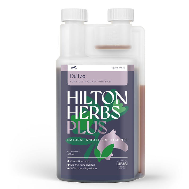 Hilton Herbs Detox Plus | Next Day Delivery | Liver Support – Just ...