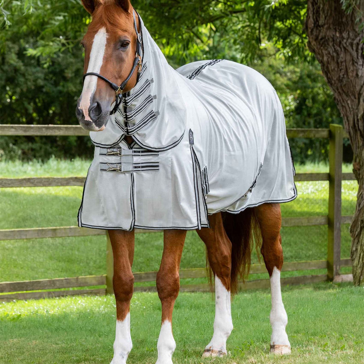 Premier Equine Fly Lite Rug | Breathable | Just Horse Riders