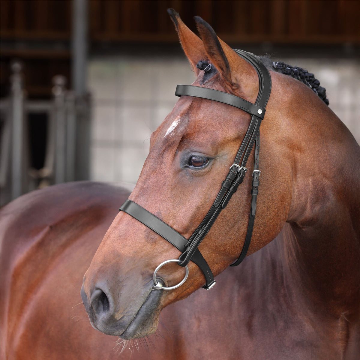 Shires Velociti LUSSO Elite Bridle | Ergonomic – Just Horse Riders