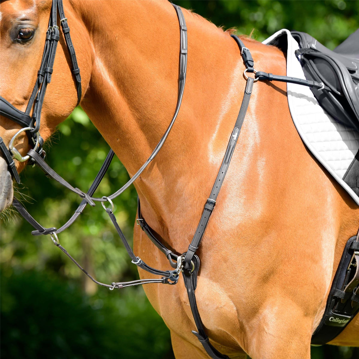Collegiate Padded Breastplate | Comfortable – Just Horse Riders