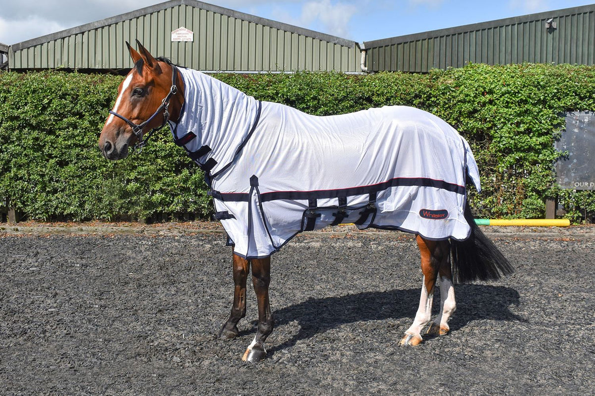 Whitaker Rastrick Fly Rug | Next Day Delivery – Just Horse Riders