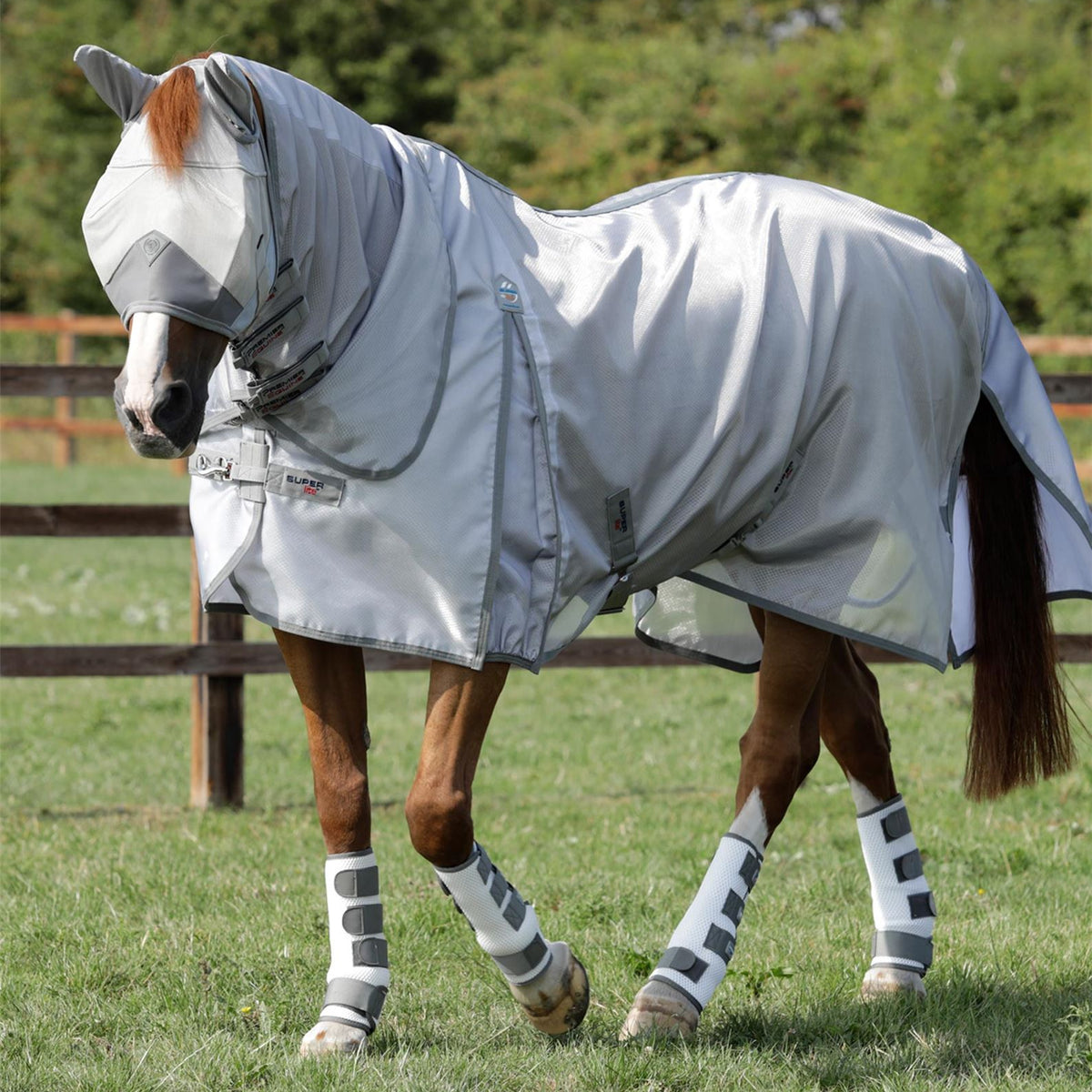 Premier Equine Super Lite Fly Rug with Surcingles – Just Horse Riders