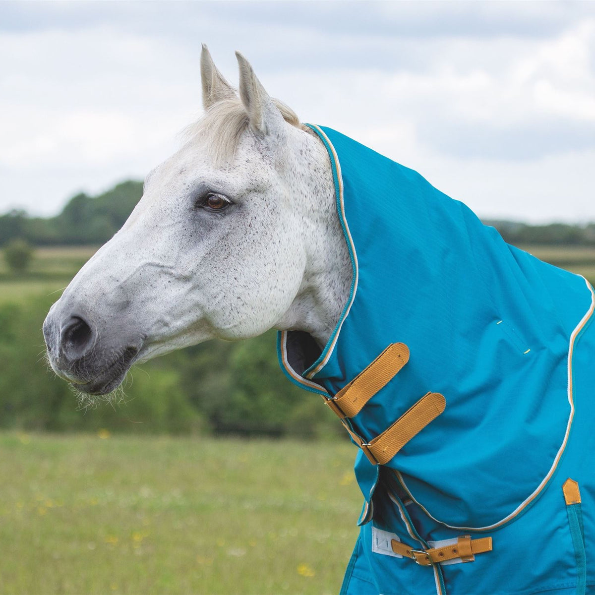 Shires Highlander Lite Neck Cover | Next Day Delivery – Just Horse Riders