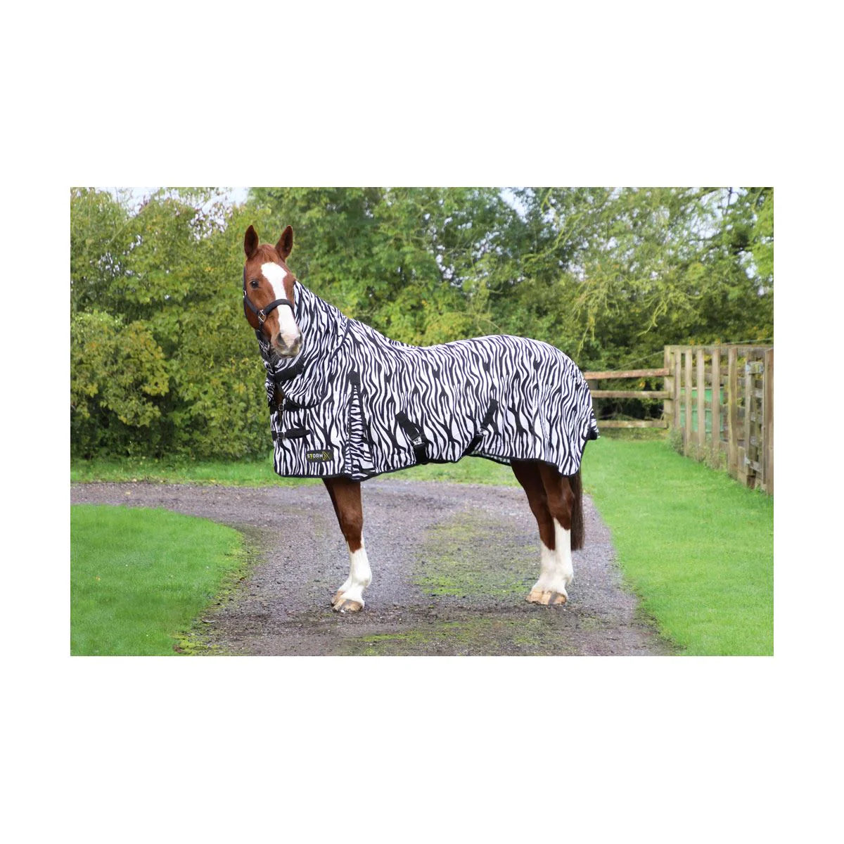 [Grade A - Clearance] StormX Original Zebra Print Fly Rug Black/White ...