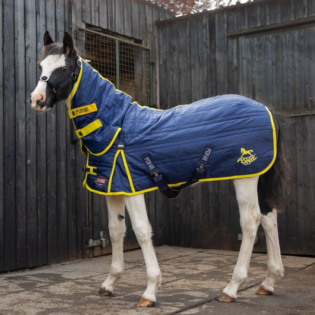 Gallop Equestrian Ponie 200G Combo | Next Day Delivery – Just Horse Riders