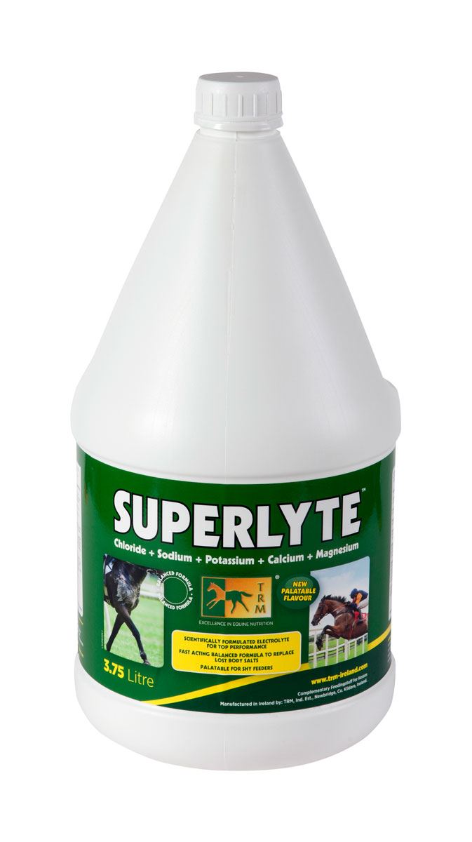 Thoroughbred Remedies Superlyte Syrup | Electrolyte Support – Just ...