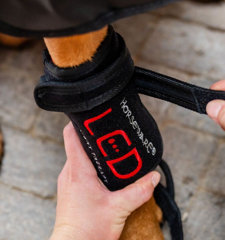 Horseware LED Red Light Therapy Pet Leg | Fast UK dispatch – Just Horse ...