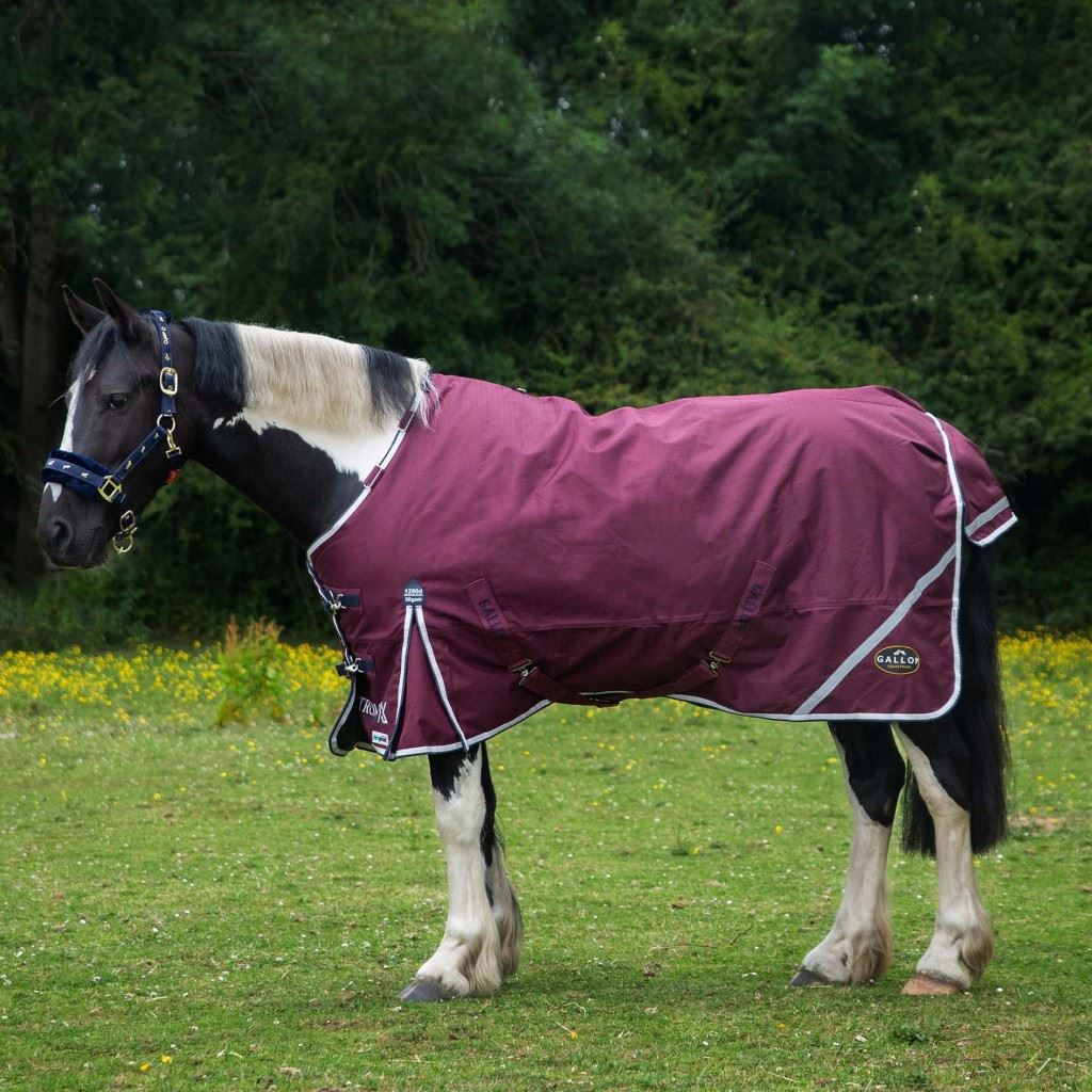 Gallop Equestrian Trojan Xtra Rug | Next Day Delivery – Just Horse Riders