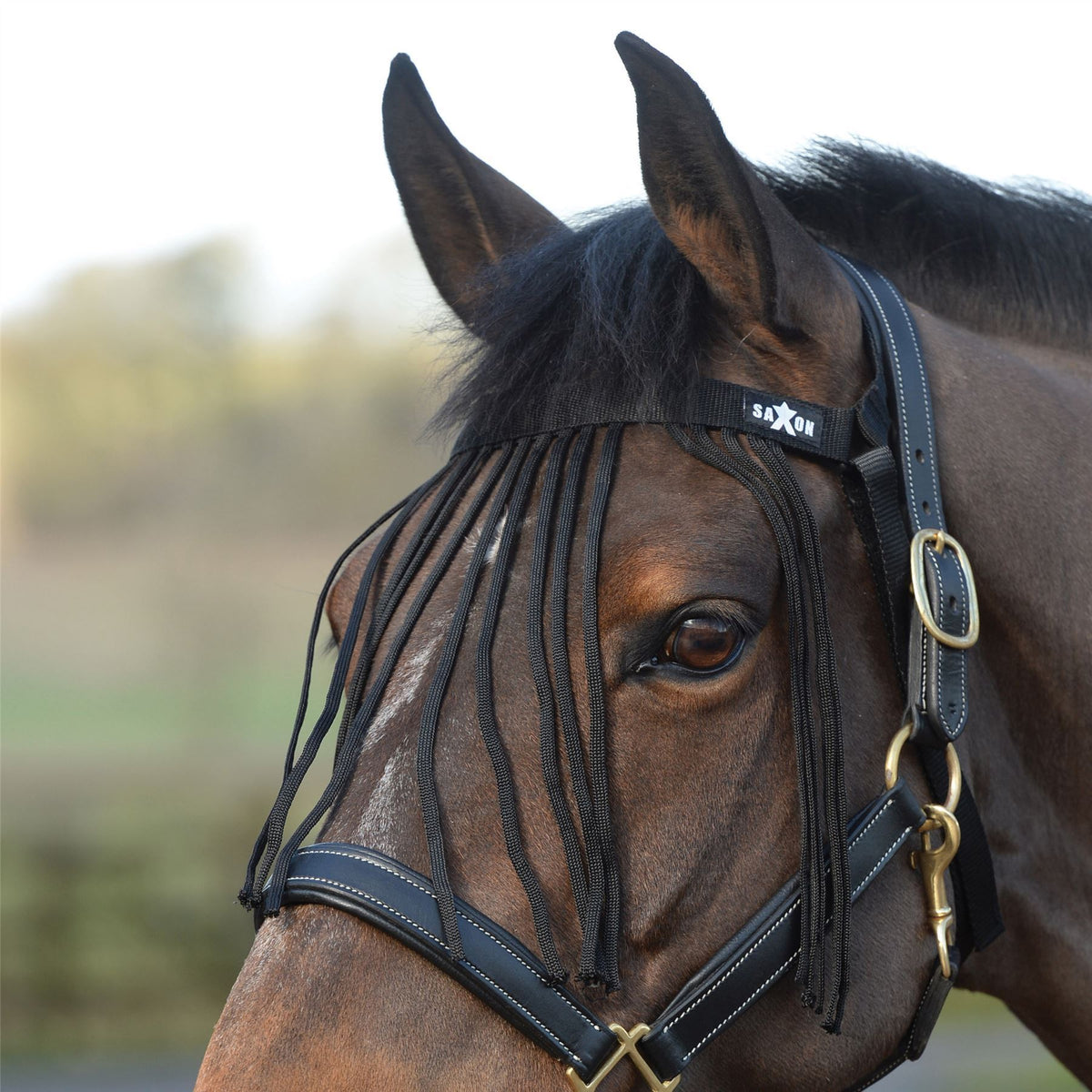Saxon Fly Fringe | Next Day Delivery | Fly Protection – Just Horse Riders