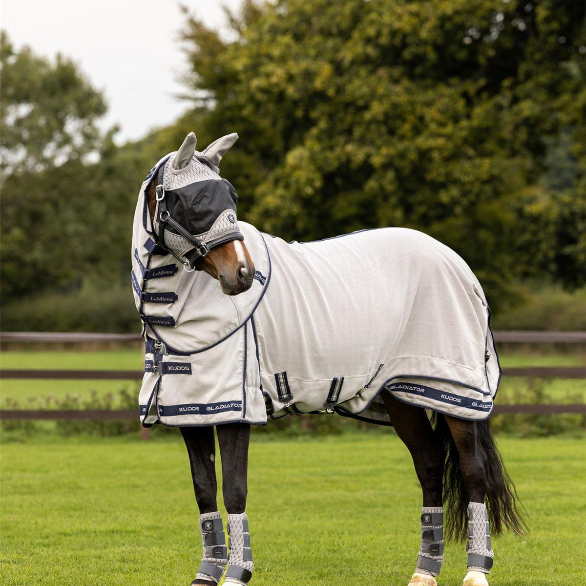 LeMieux Kudos Gladiator Fly Rug | UV Protection – Just Horse Riders