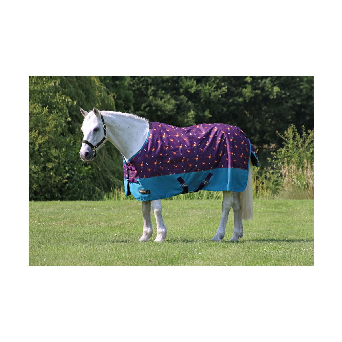 StormX Patrick the Pheasant Rug | Waterproof – Just Horse Riders