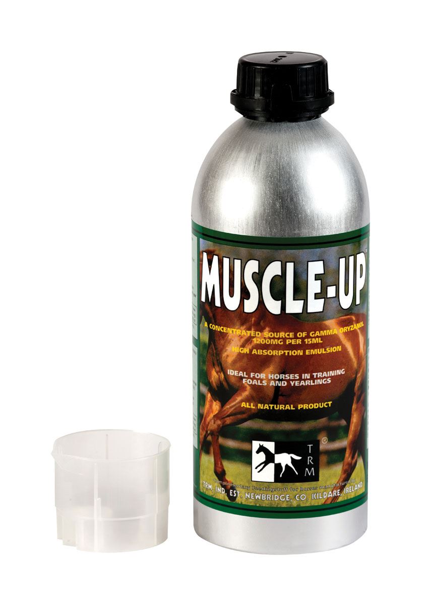 Thoroughbred Remedies Muscle-Up | Natural Supplement – Just Horse Riders