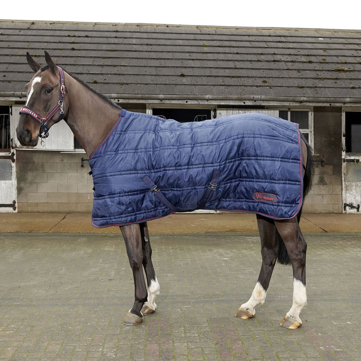 Whitaker Stable Rug Rastrick 200 Gm | Next Day Delivery – Just Horse Riders