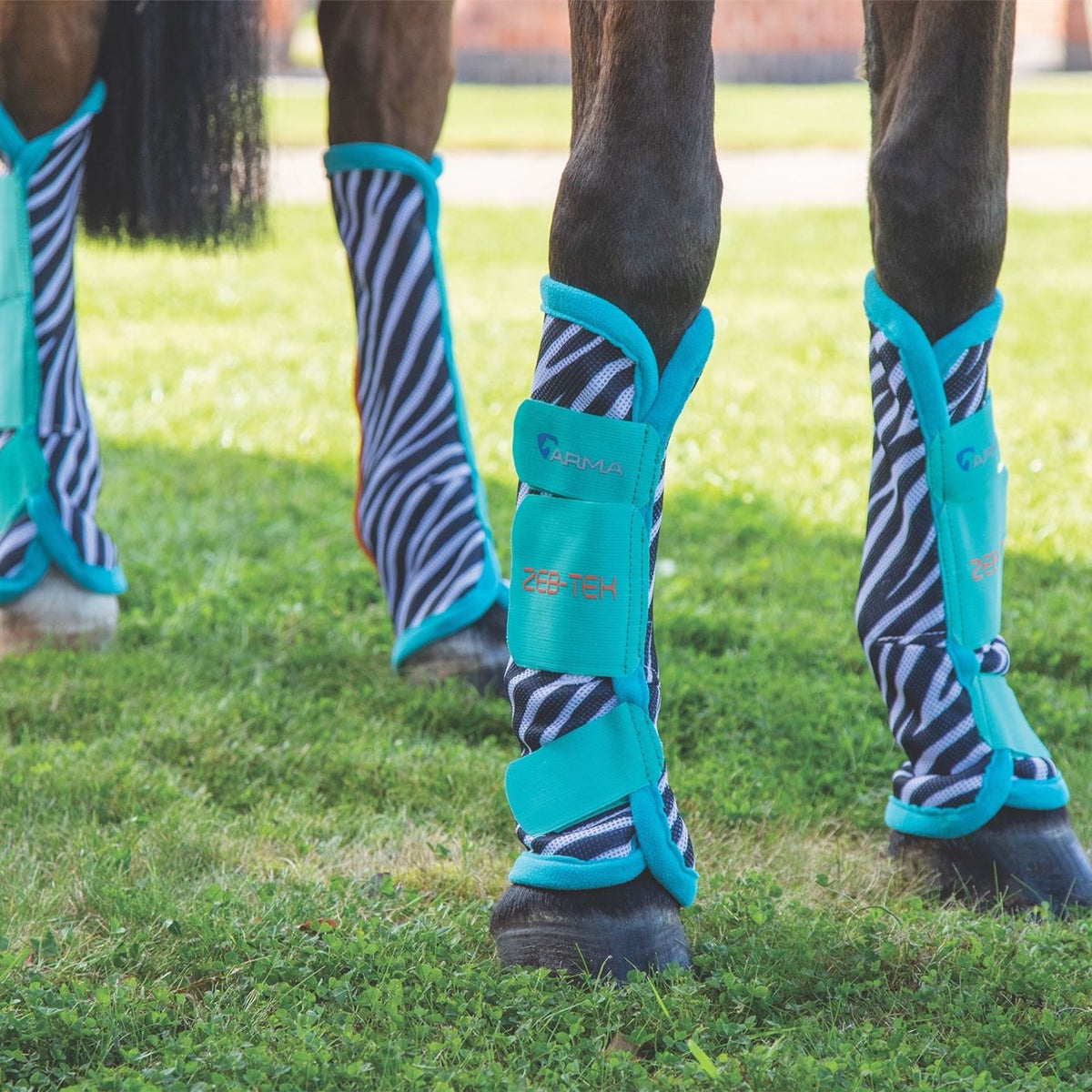 Shires Arma Fly Socks | Next Day Delivery | Comfortable – Just Horse Riders