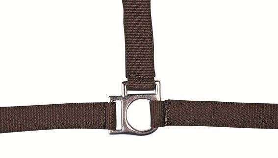 HKM Stars Padded Head Collar | Fast UK dispatch – Just Horse Riders