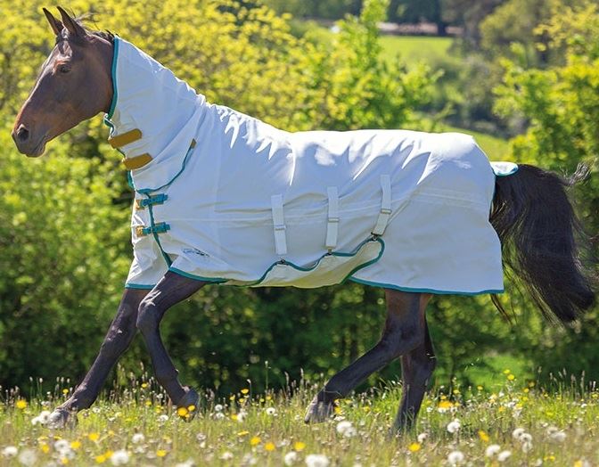 Shires Sweet Itch Combo Rug | Next Day Delivery – Just Horse Riders