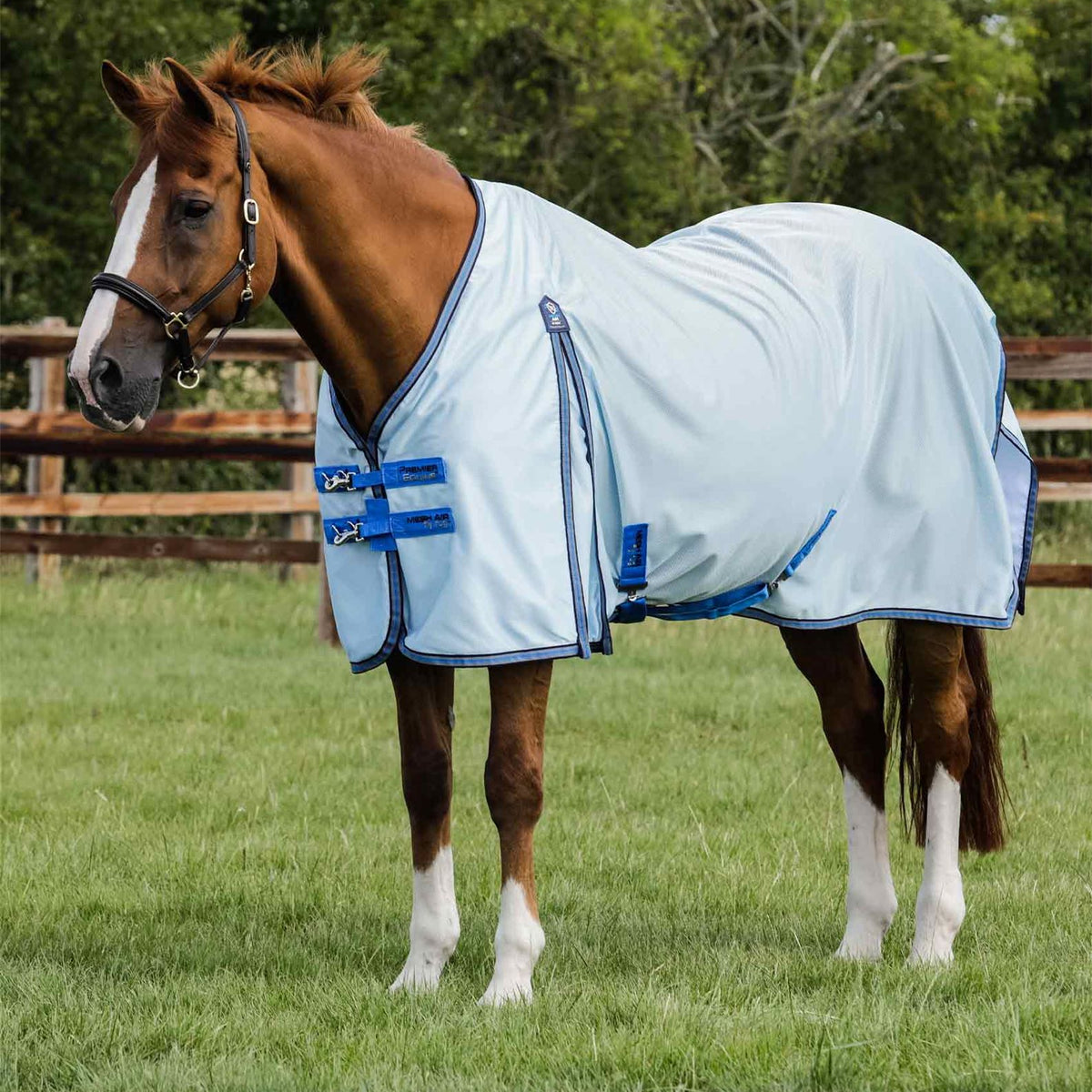 Premier Equine Fly Rug | Breathable | Just Horse Riders