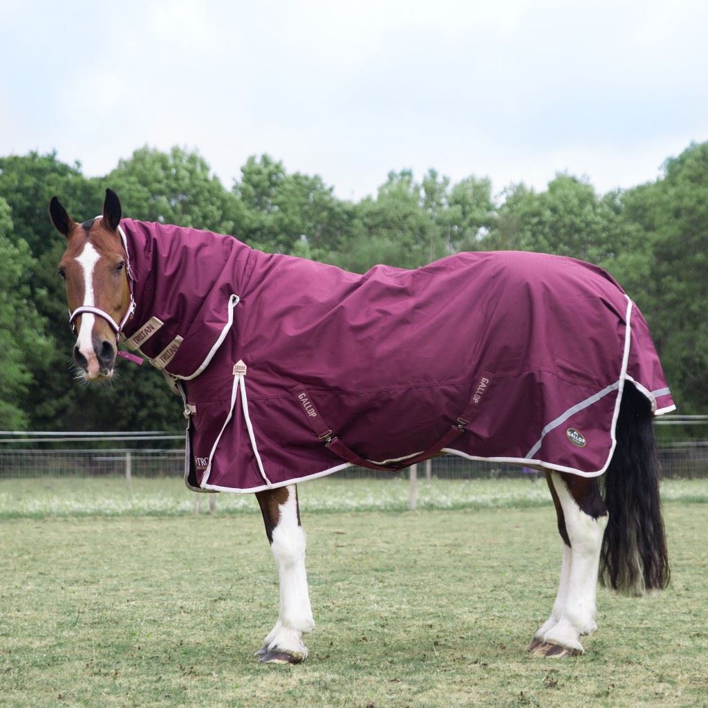 Gallop Equestrian Trojan Xtra Duraproof 100G Turnout Combo – Just Horse ...