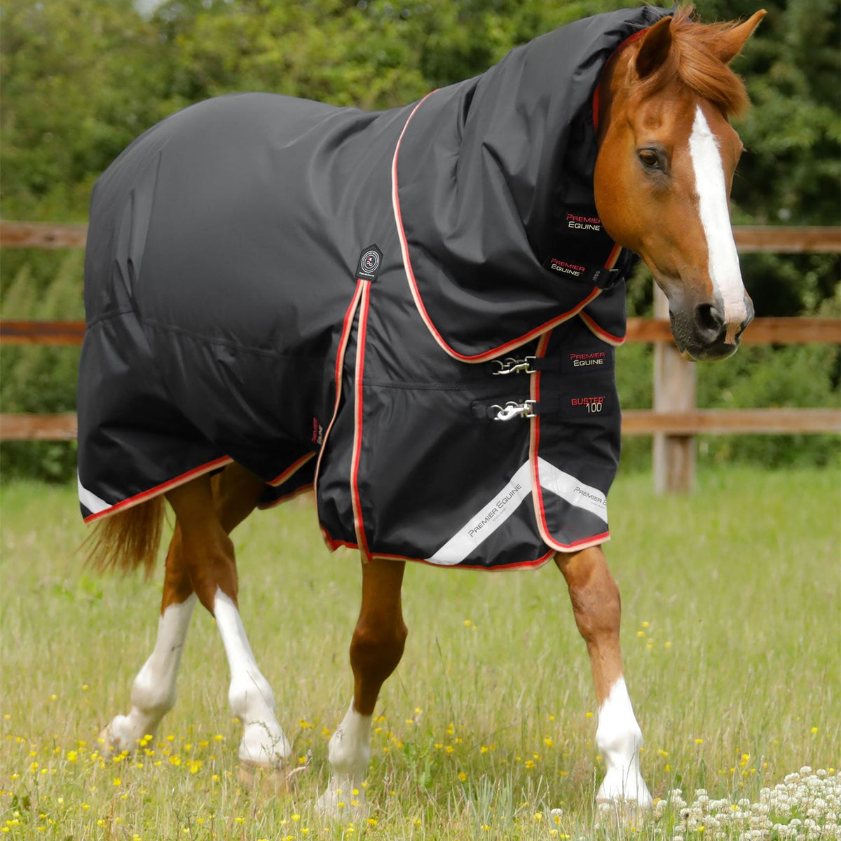 Premier Equine 200g Turnout Rug | Waterproof – Just Horse Riders