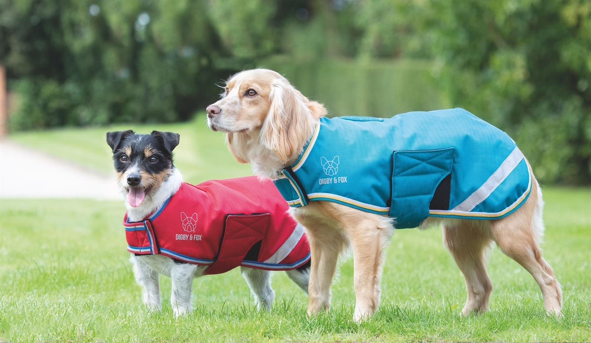 Digby & Fox Waterproof Dog Coat | Next Day Delivery – Just Horse Riders
