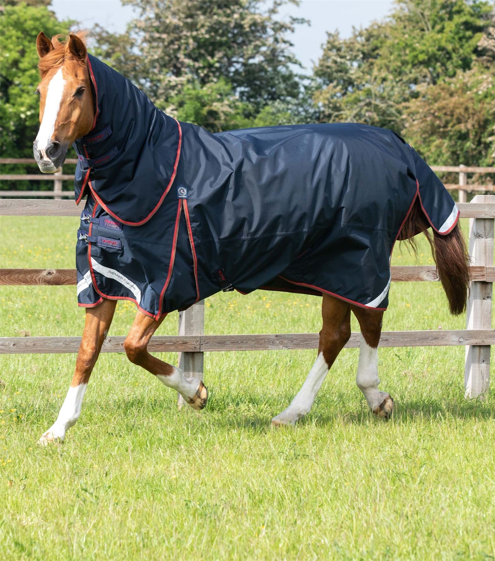 Premier Equine Buster 150g Turnout Rug | Waterproof – Just Horse Riders