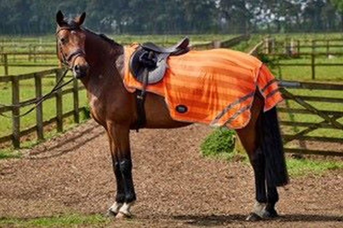 Firefoot Reflective Exercise Sheet | Lightweight – Just Horse Riders