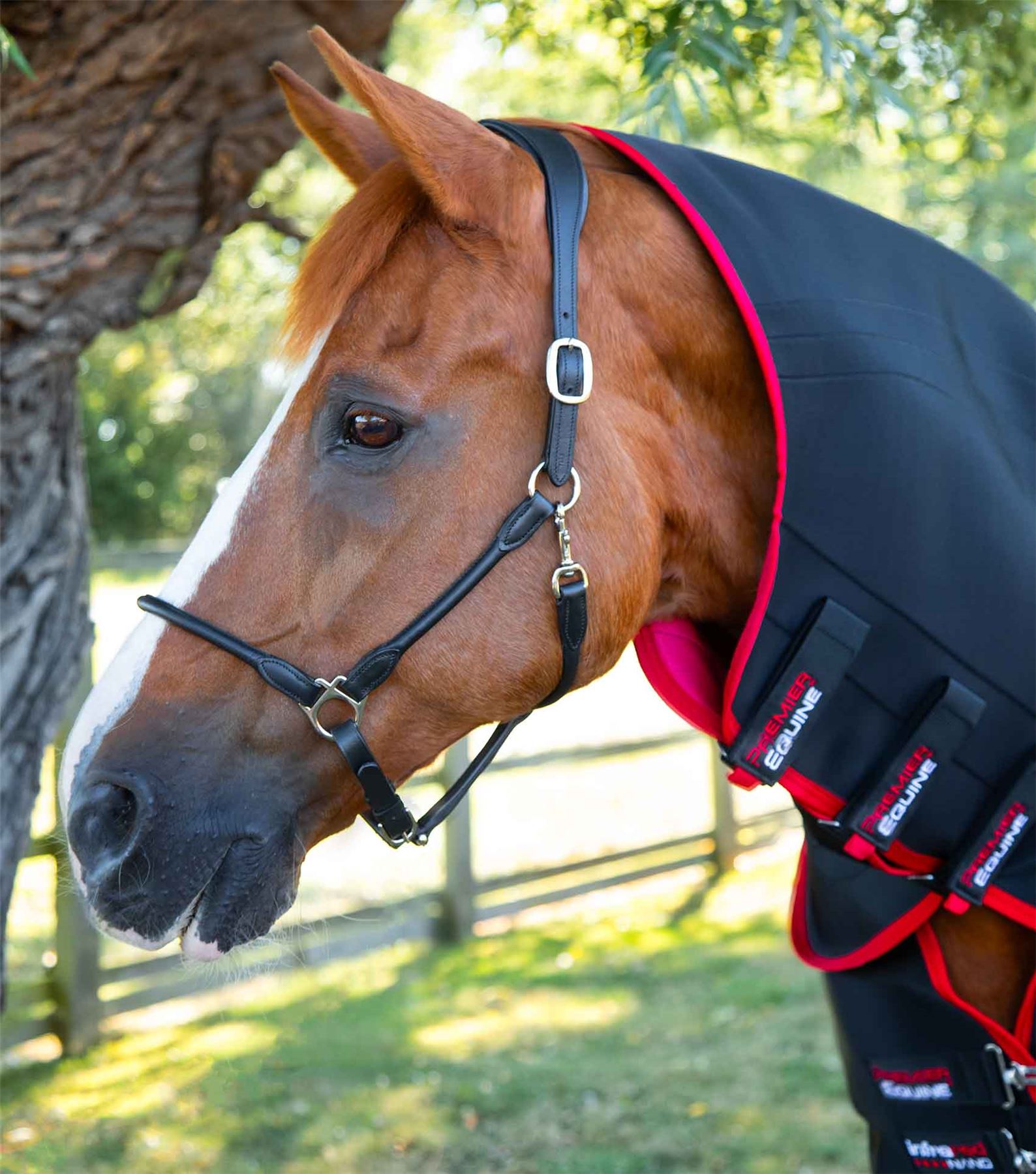Premier Equine Nano-Tec Infrared Rug | Breathable – Just Horse Riders