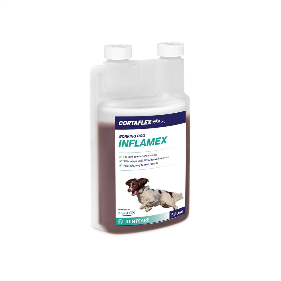 Equine America UK Products – Boost Horse Health & Mobility, BuyNow ...