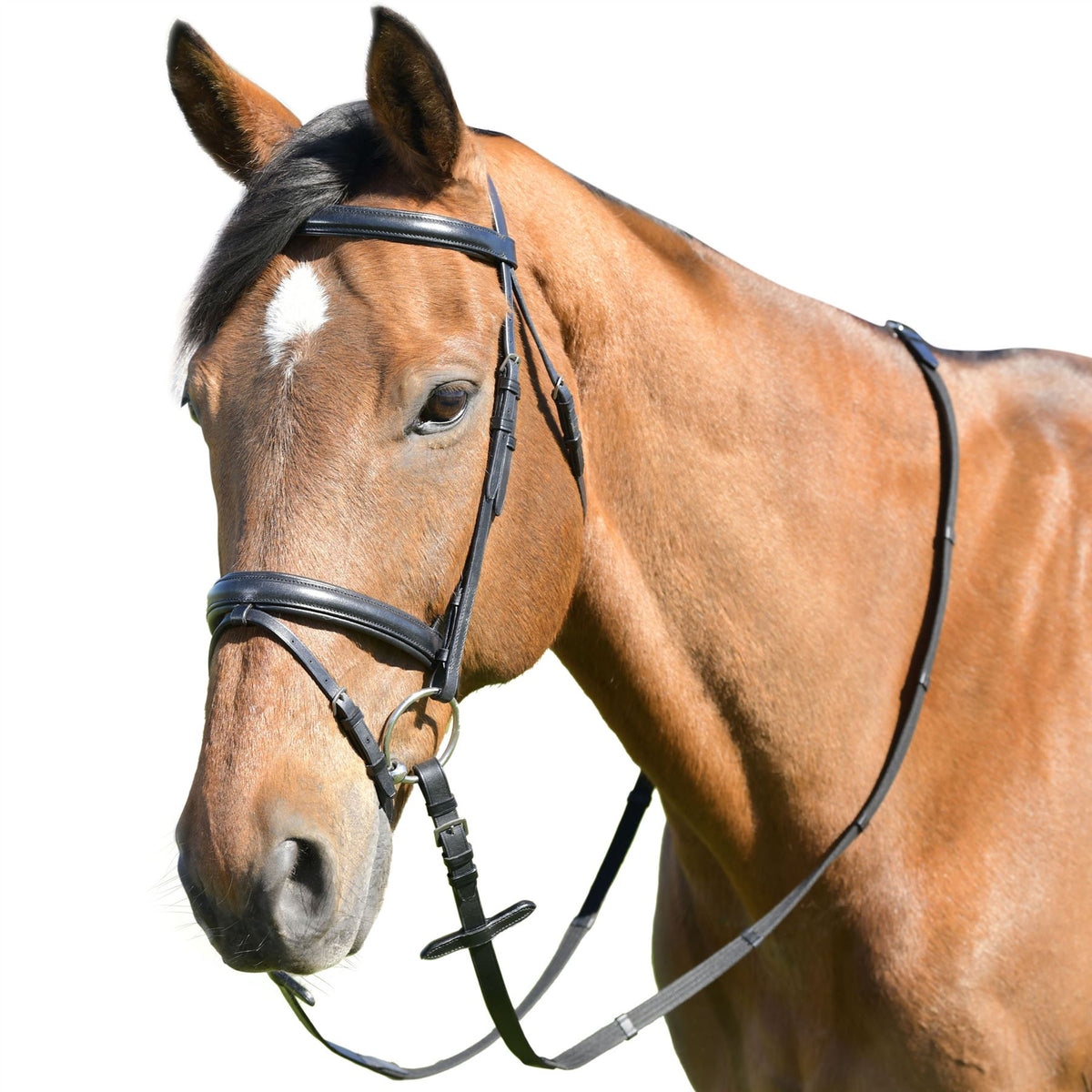 Kincade Classic Flash Bridle | Durable | Just Horse Riders
