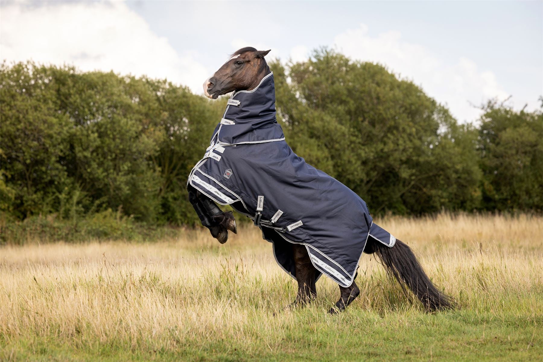 LeMieux Arika Storm-Tek Rug | Waterproof | Just Horse Riders