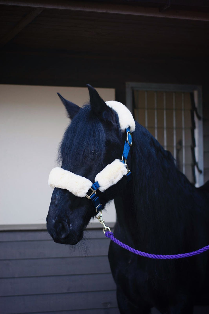 KM Elite Lambswool Headstall Set | Comfortable – Just Horse Riders