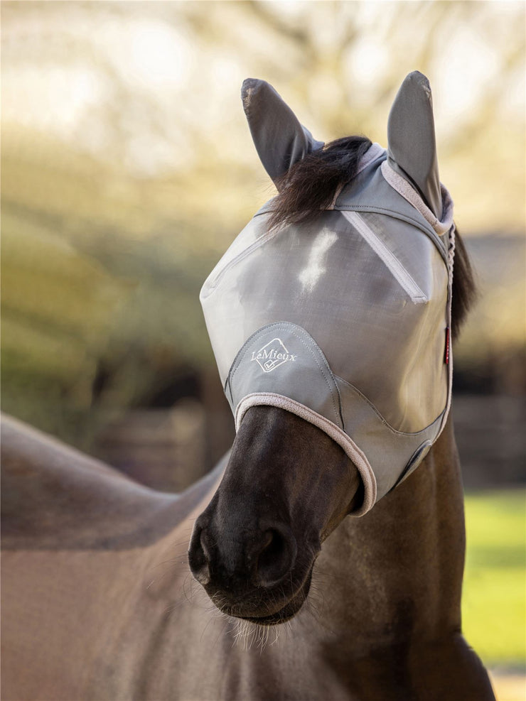 LeMieux: Premium Equestrian Products – Shop Now – Just Horse Riders