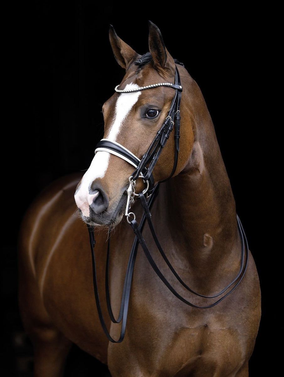 HKM Double Bridle Dina | Next Day Delivery | Quality – Just Horse Riders