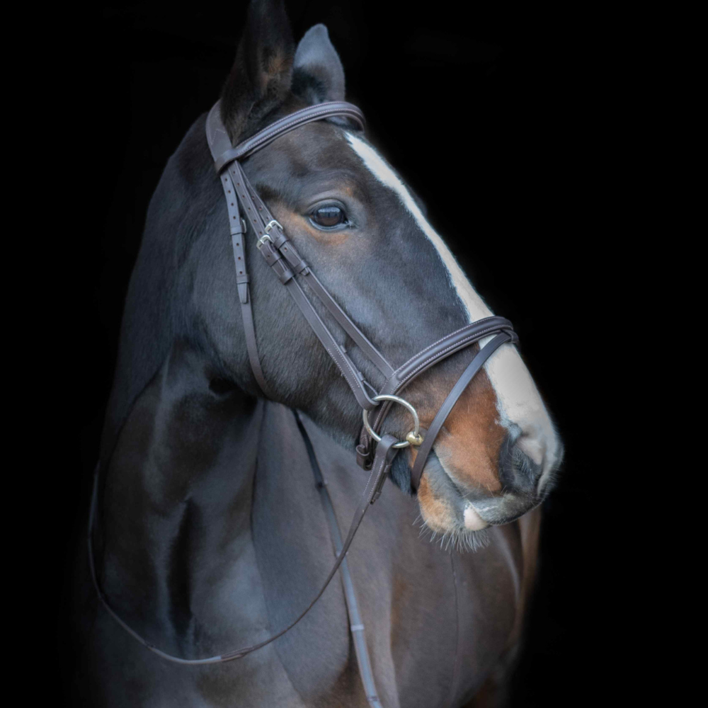 Cameo Equine Anatomic Bridle | Comfortable – Just Horse Riders