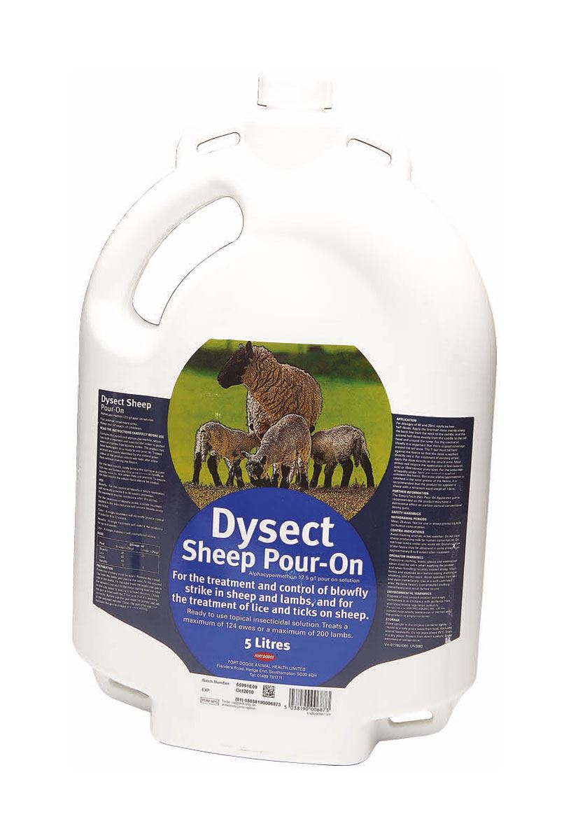 Dysect Sheep Pour-On – Just Horse Riders