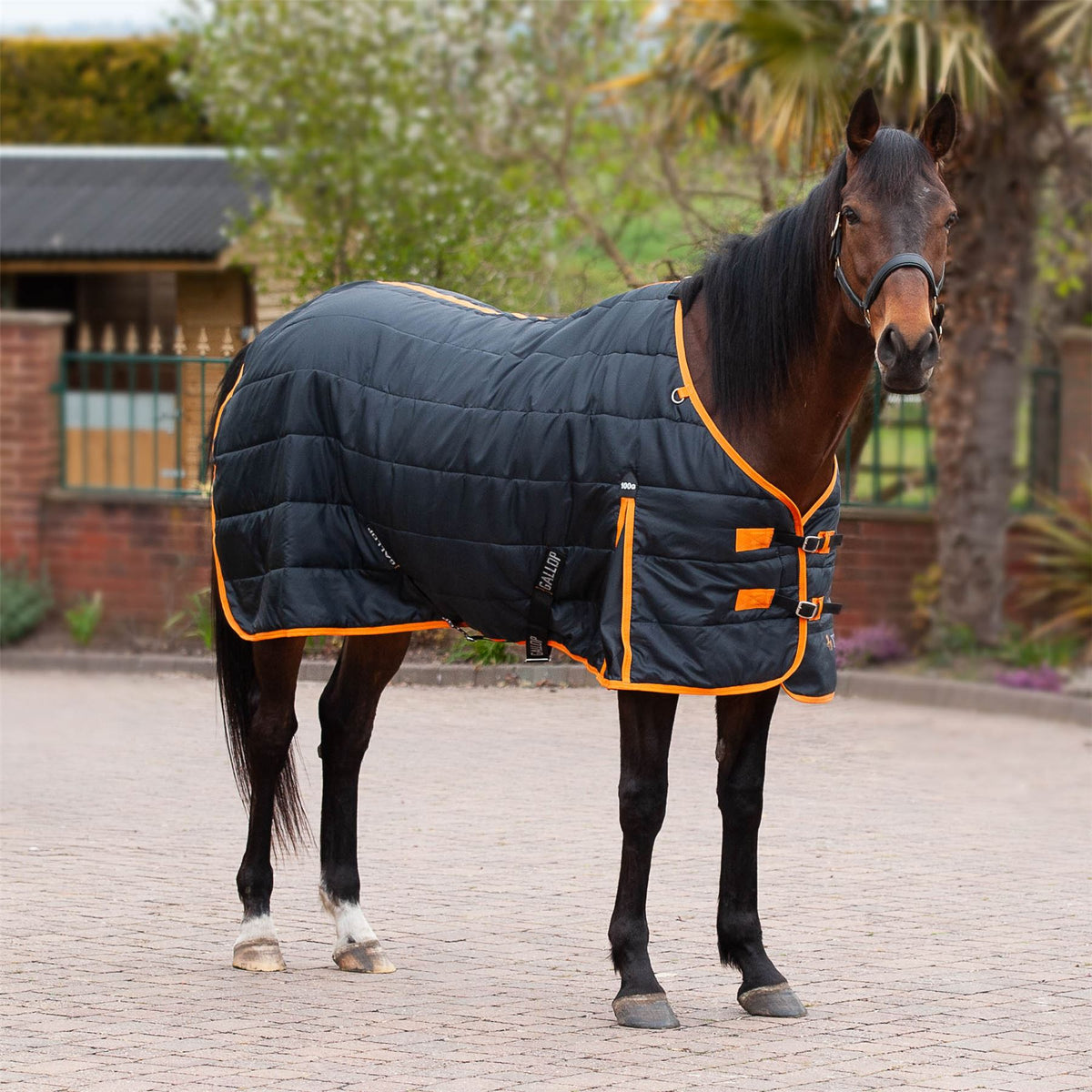 Gallop Equestrian Trojan 100 Stable | Next Day Delivery – Just Horse Riders