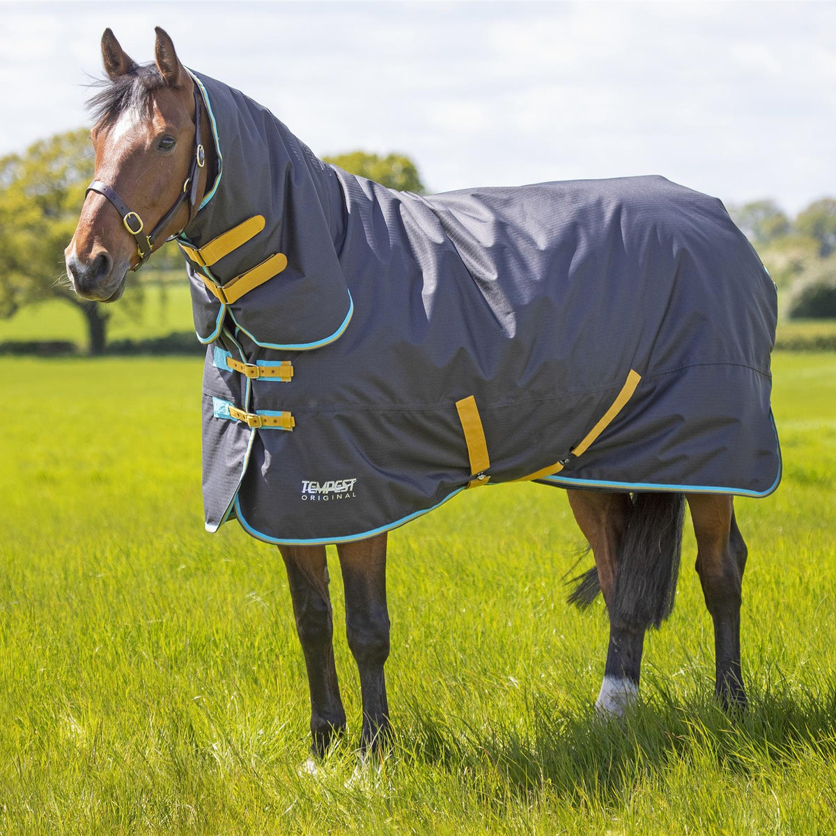 Tempest 300g Turnout Rug | Waterproof | Just Horse Riders